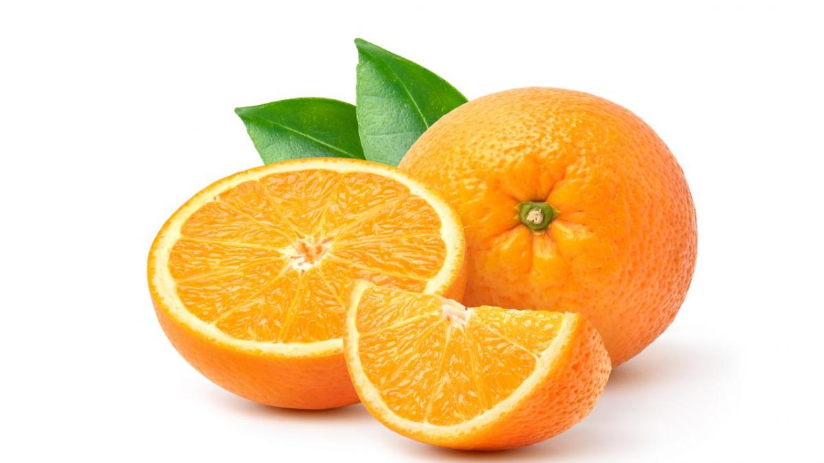 Pohon Jeruk Doce