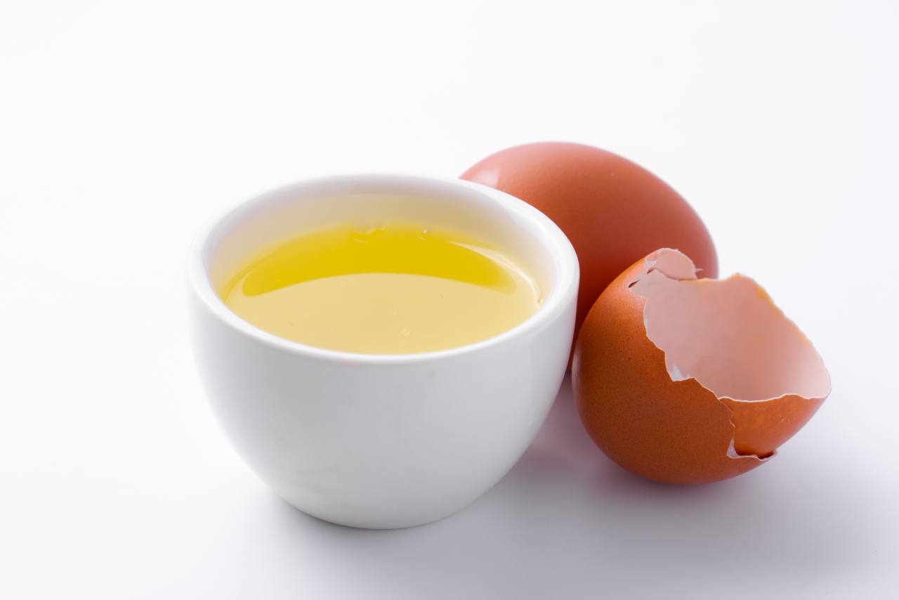 Kreasi Masakan Putih Telur: Menu Diet yang Lezat dan Bergizi