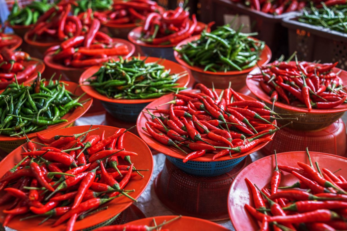 Cicipi Keunikan Setiap Jenis Mangga dengan Mengenal 20 Jenis Mangga Ini! - Official Astronauts Blog